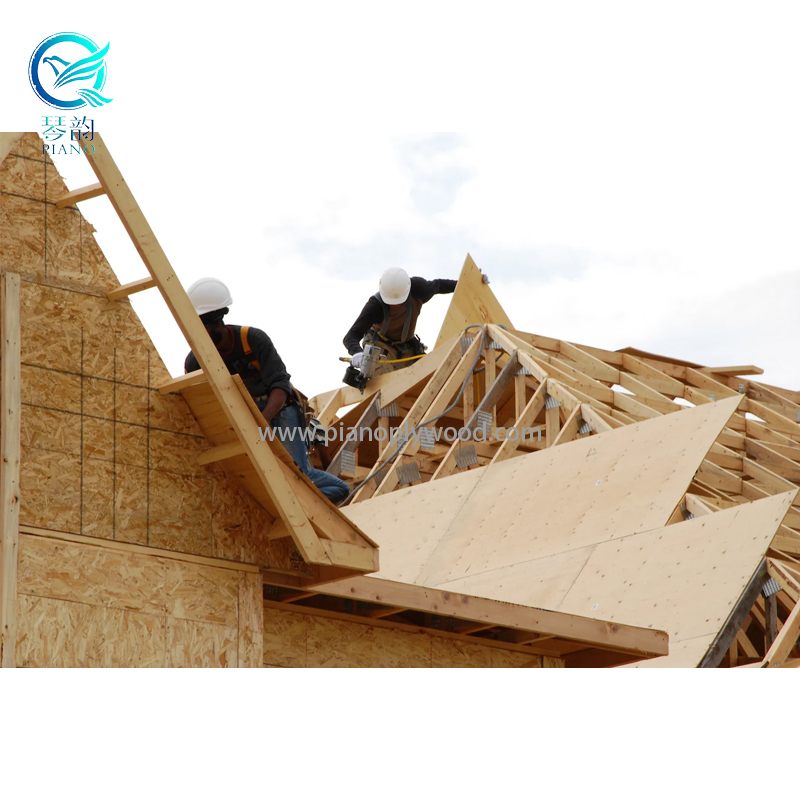 CDX Plywood For Roof for sale - QINGE