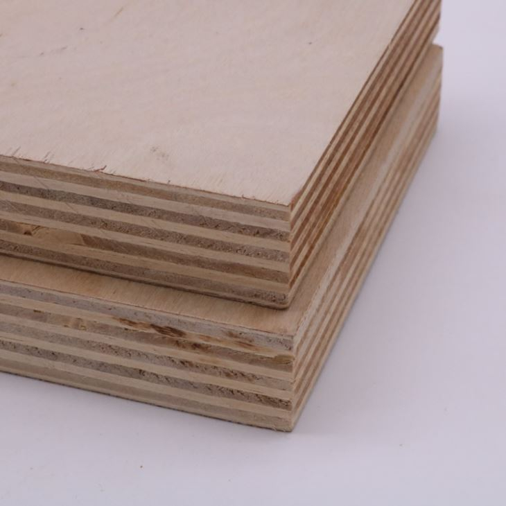 Birch Face & Back Plywood for sale - QINGE